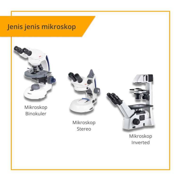 Distributor Mikroskop di Indonesia (Olympus, Optika, Motic) - LabMart.id