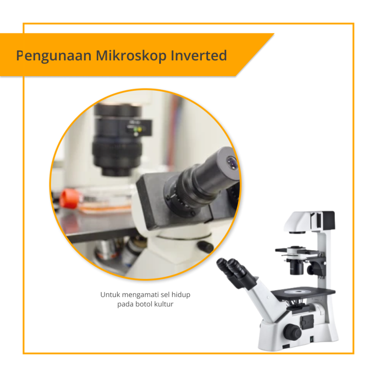 Distributor Mikroskop di Indonesia (Olympus, Optika, Motic) - LabMart.id