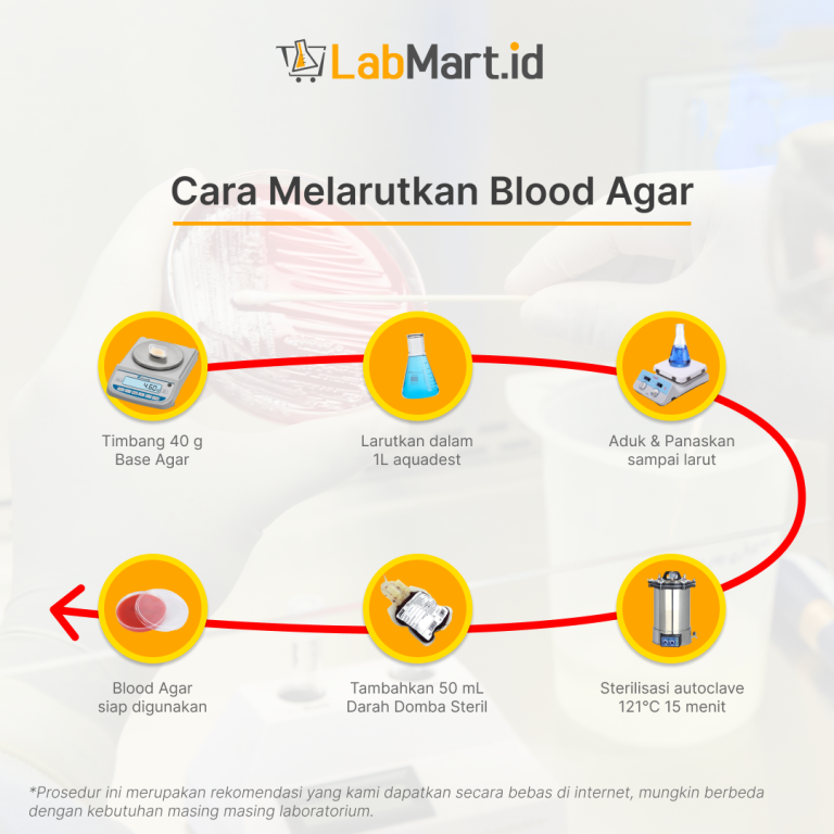 Jenis-Jenis Media Mikrobiologi dan Fungsinya - LabMart.id
